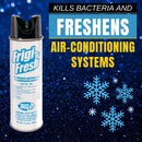 BG Frigi-Fresh Automotive Air Conditioning Cleaner and Freshener (5.5